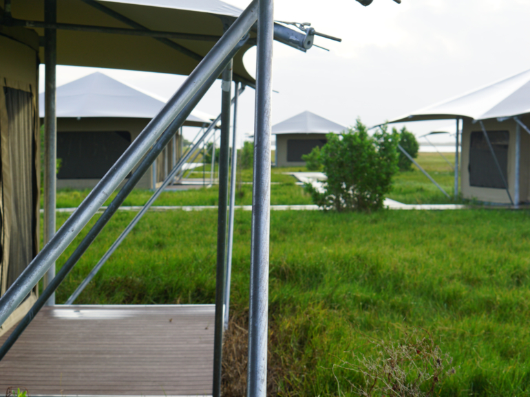 Not So Glamorous Glamping in the Everglades - Laro - Ethical Wildlife ...