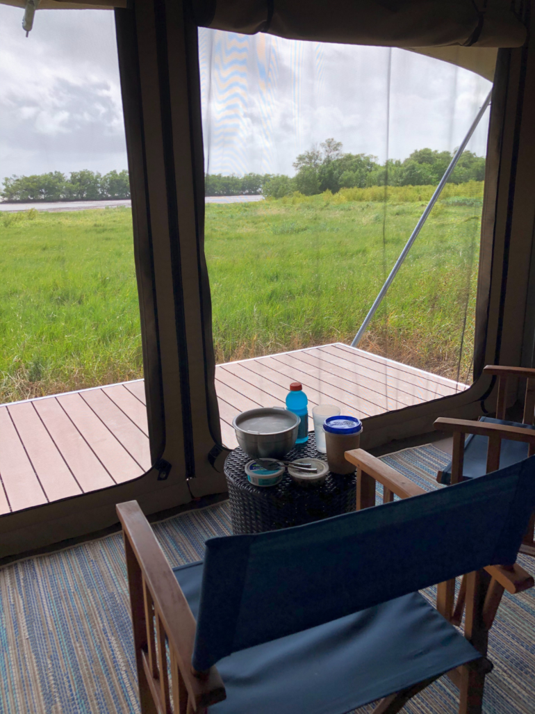 Not So Glamorous Glamping in the Everglades - Laro - Ethical Wildlife ...
