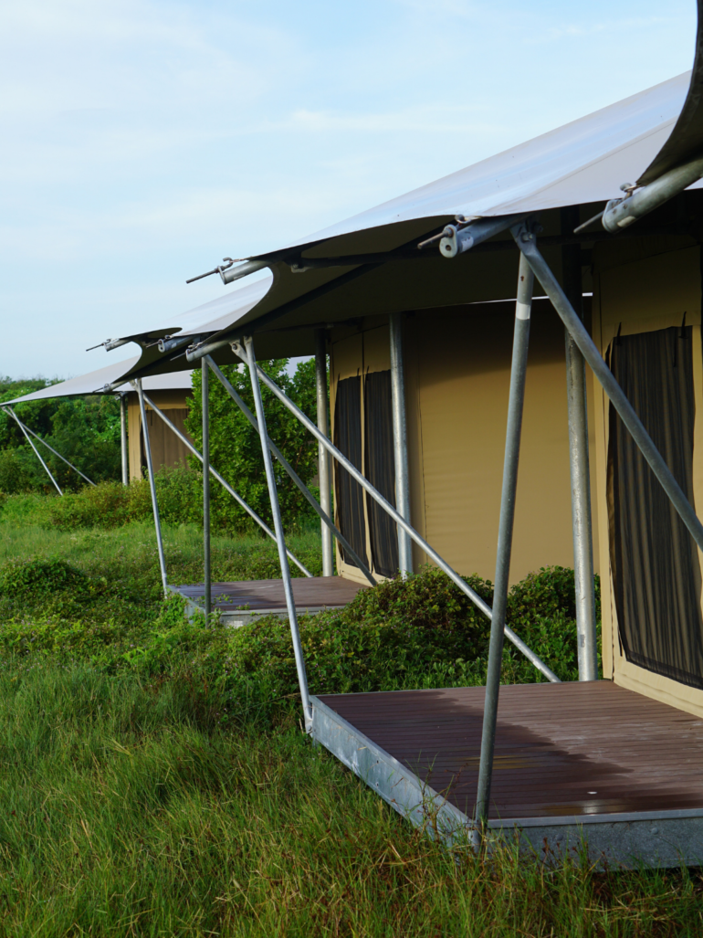Not So Glamorous Glamping in the Everglades - Laro - Ethical Wildlife ...