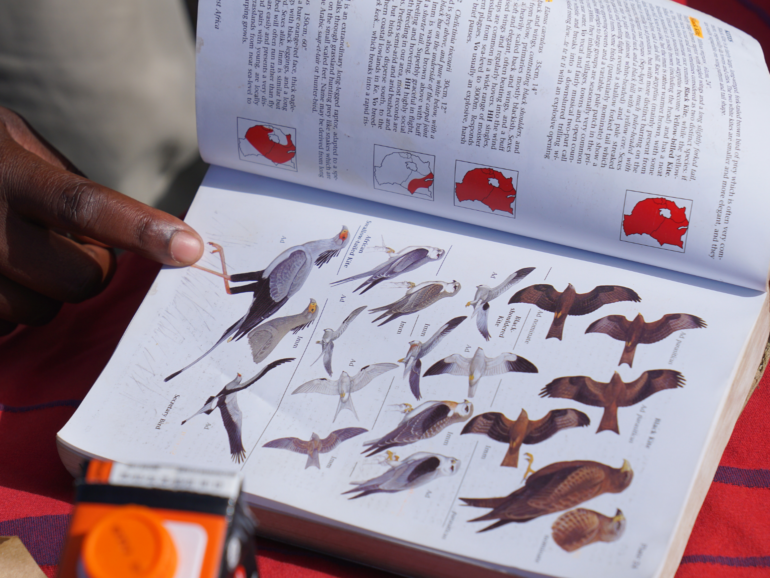 Female Safari Guides: The Women Leading Africa - Laro - Ethical ...